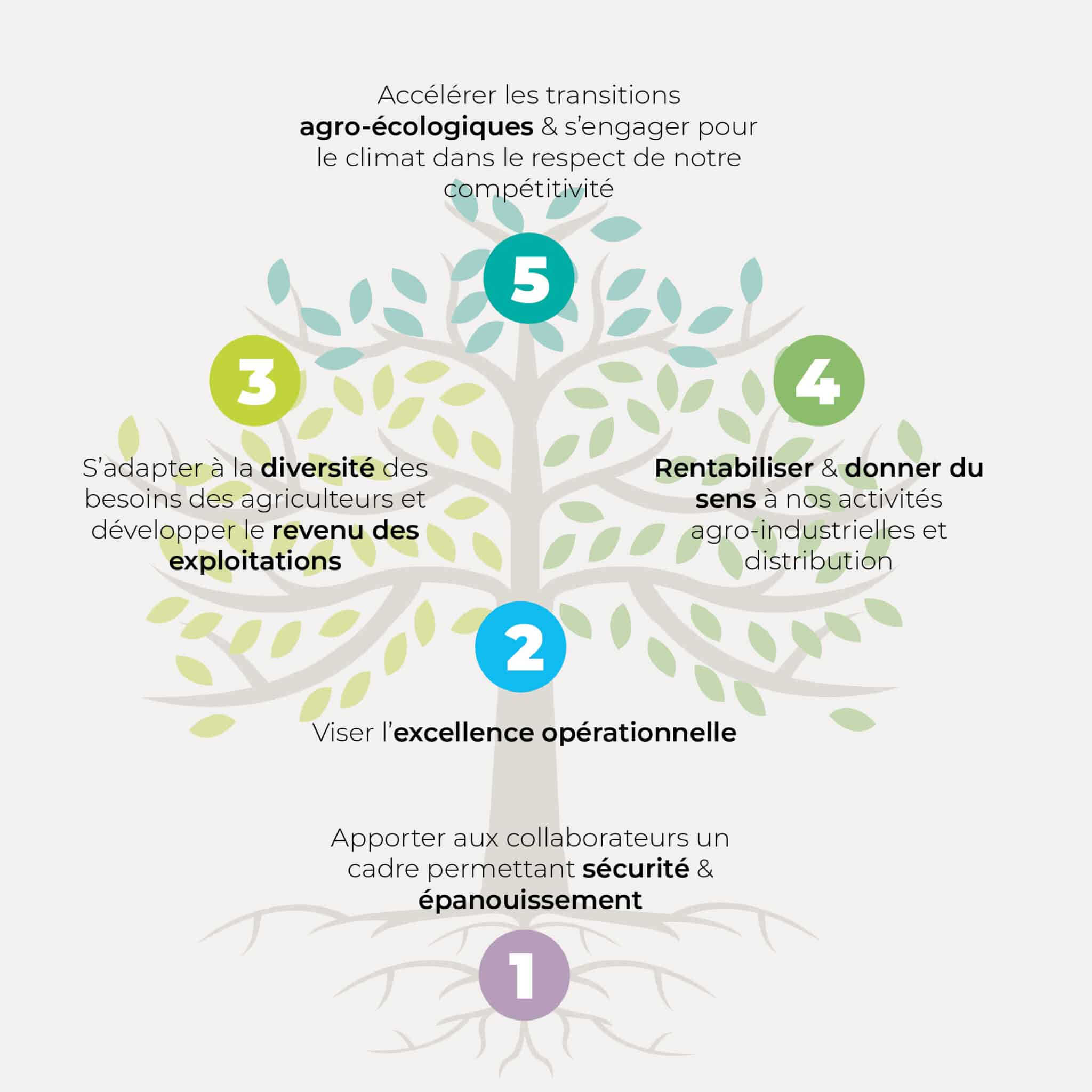 La stratégie - NatUp