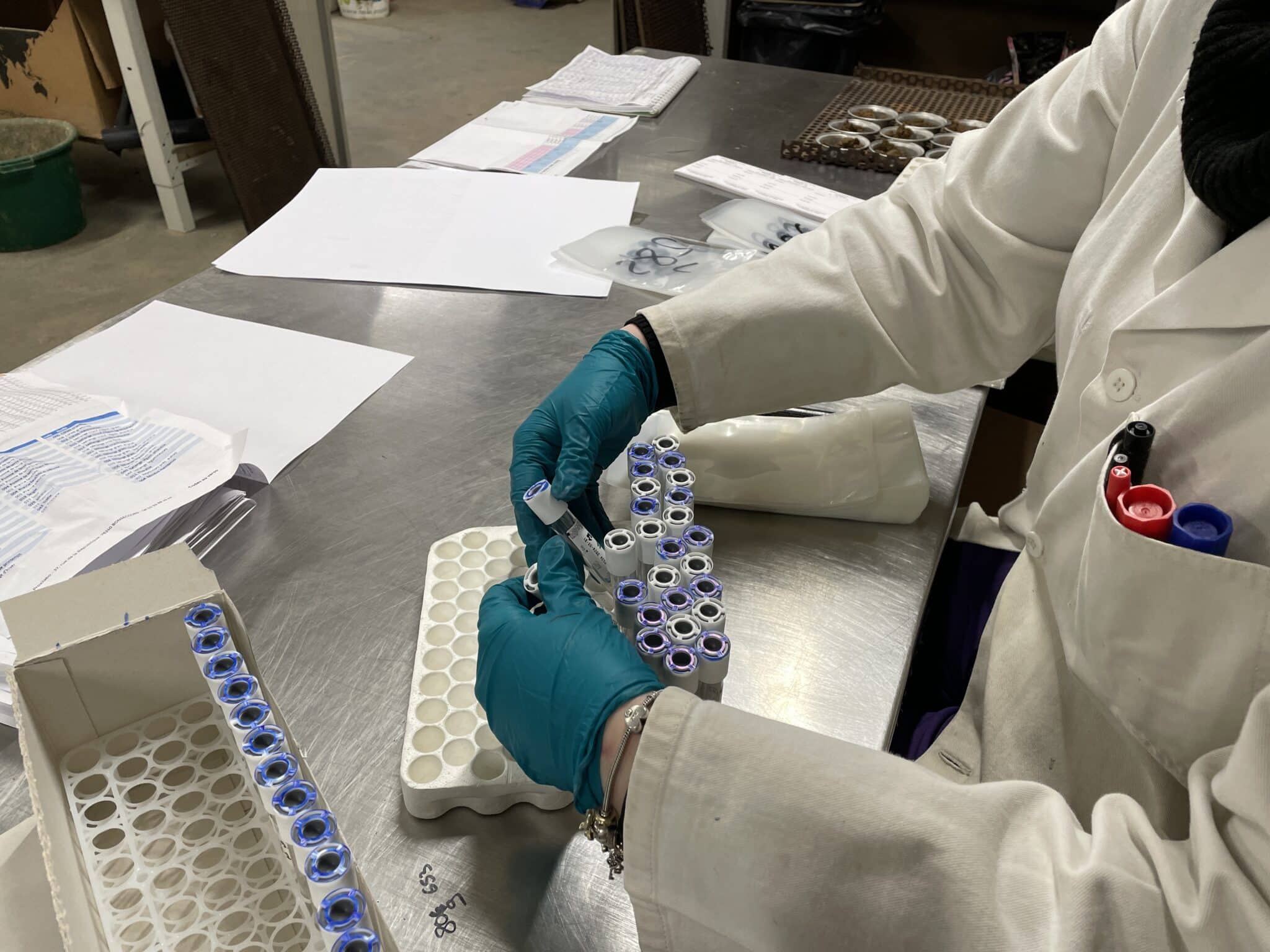 Les services - NatUp